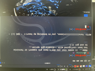 kali安装yersinia后出现的问题_网络-CSDN问答