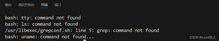 VScode连接Linux终端显示bash: ls: command not found_编程语言-CSDN问答