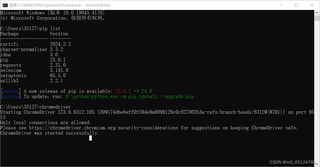 用python selenium 打不开网页_编程语言-CSDN问答