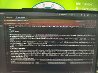 pycharm中xlsx文件乱码_开发工具-CSDN问答