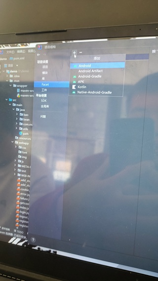 Idea项目结构中facet中没有web选项,servlet一直用不了,配置没什么问题java Csdn问答