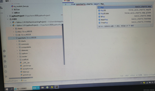 Python中已经下载好了pyecharts包但使用时说解析不到_编程语言-CSDN问答