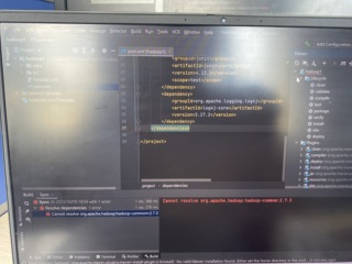 Cannot resolve org.apache.Hadoop:Hadoop-common:2.7.3_大数据-CSDN问答