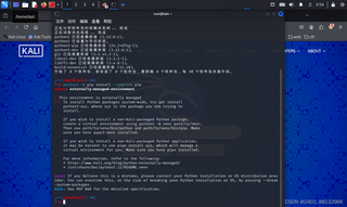 python3无法安装pwntools_编程语言-CSDN问答
