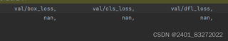 使用yolov8时，result.csv中val/box_loss,val/cls_loss,val/dfl_loss,为nan，怎么解决？_编程语言-CSDN问答