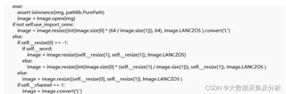 PIL image.resize() 报错AttributeError: module ‘PIL.Image‘ has no ...