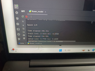 跑一个epoch就要半个小时，怎么可以提高它的时间呢(语言-python)_编程语言-CSDN问答